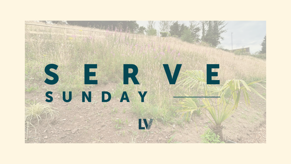 Serve Sunday